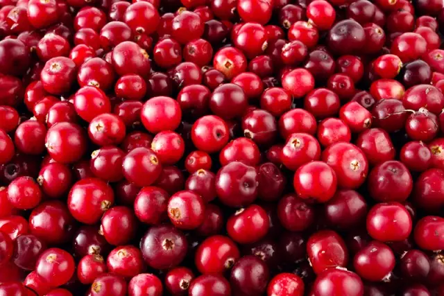 Foto №1 - Cranberry seisoen: Uiters feite en twee resepte uit die sjef