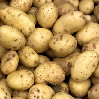 Foto №4 - Tre ricette originali per polpette con patate e un po 'di fatti divertenti sul prodotto