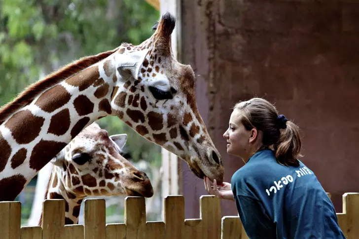 Foto Número 9 - Nenos fóra da cela: 12 Mellores Zoos World