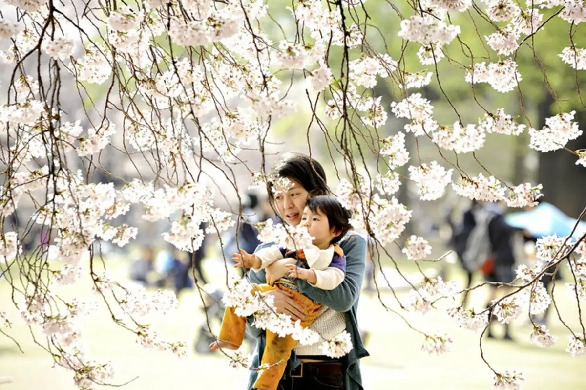 Foto nommer 3 - Kollektiewe Bewuste: Hoe om kinders in Japan op te lei