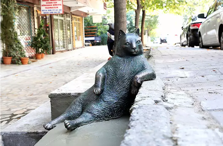 FOTO №1 - u Istanbulu instaliralo je spomenik Kotu-me