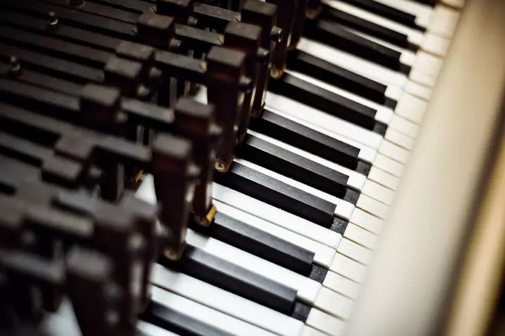 फोटो नंबर 3 - पियानिसिमो: दुनिया में सबसे अच्छा पियानो कैसा है