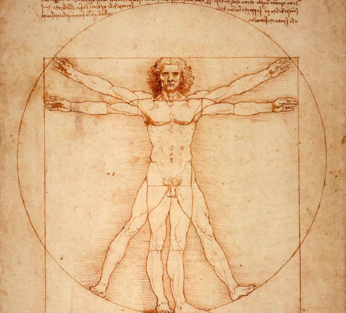 पाच चमत्कार: जीनियस लिओनार्डो 