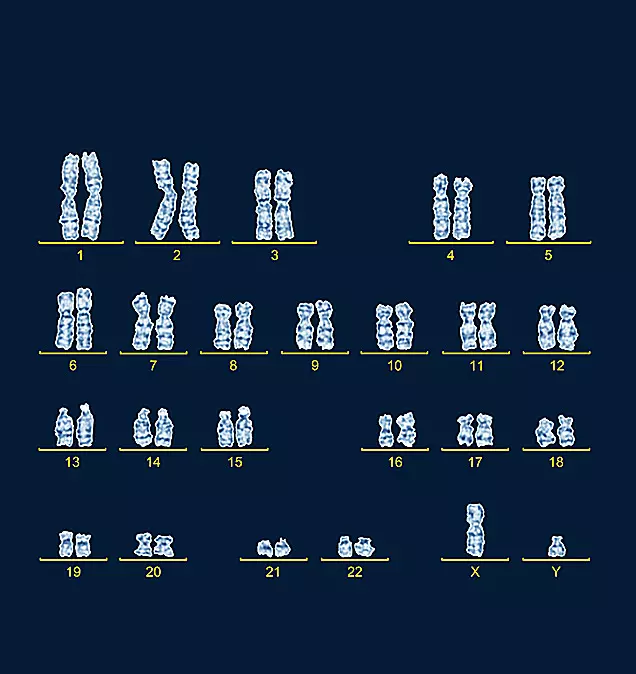 Myndarnúmer 3 - offramboð karla