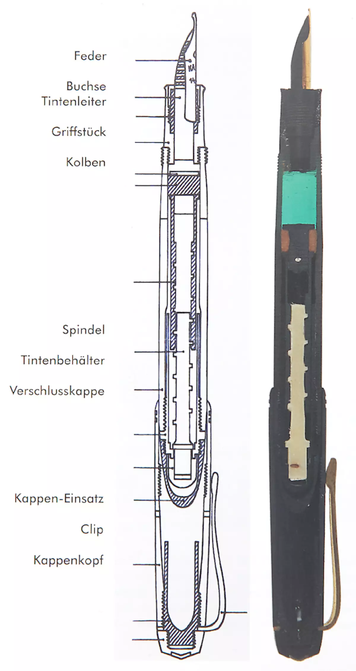 Ritratt №28 - Kaweco: qawmien mill-ġdid trijonfali tal-klassiċi