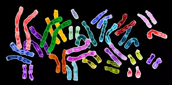 Foto №1 - mitos sobre genes