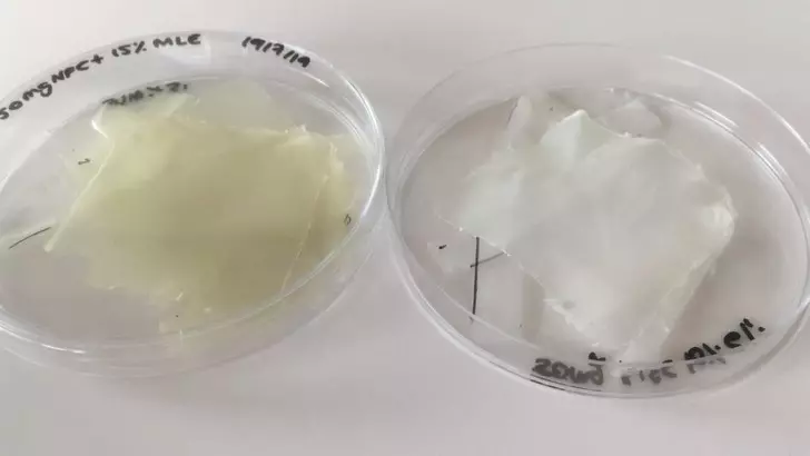 Argazkia №2 - Zientzialariek Mango hostoetatik bioplastiko antibacterial bat sortu dute