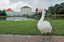 Foto nummer 7 - München: Tussen de monarchie en anarchie