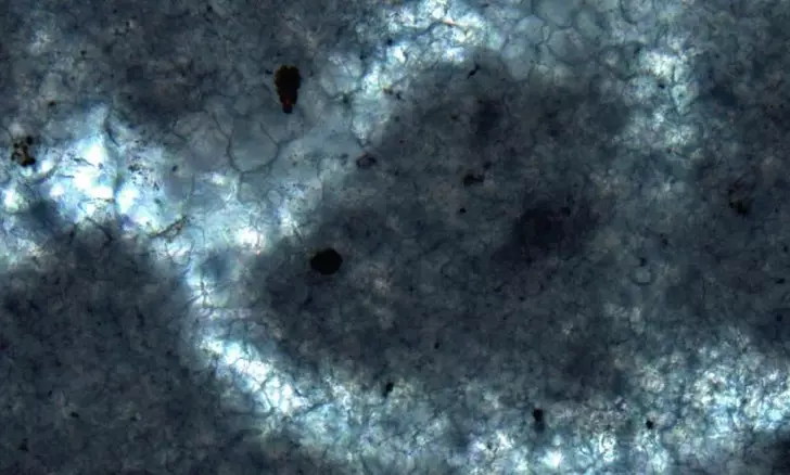 Foto №1 - v Kanadě, nalezené stopy nejstarší multicelulárního na Zemi