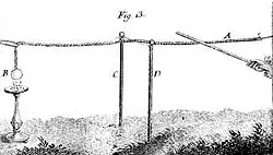 Foto №3 - Băieți electrici și Cuplul Vienei