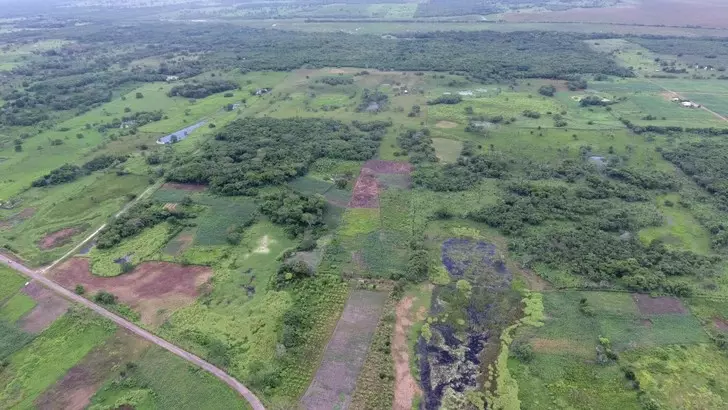 Foto nr 1 - leiti vanim tempel Maya