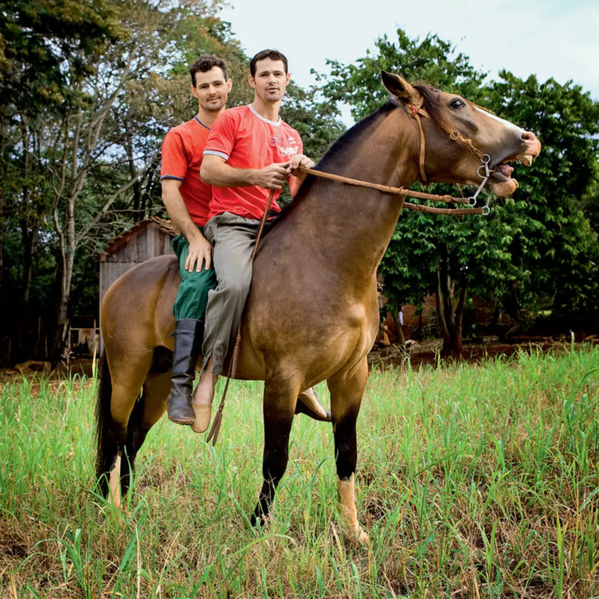 Foto №2 - Melao ea Marang-rang