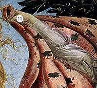 Fotoğraf №11 - "Venüs" botticelli'de şifrelenmiş 14 karakter