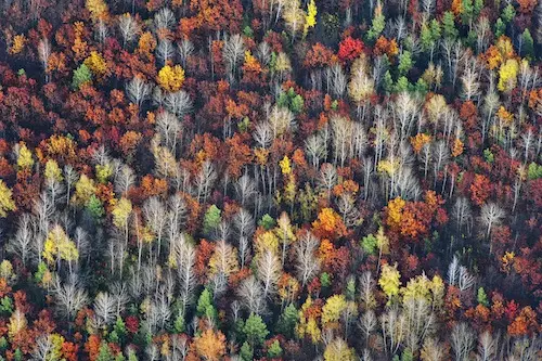 Nimewo foto 1 - soti nan Larisi ak renmen