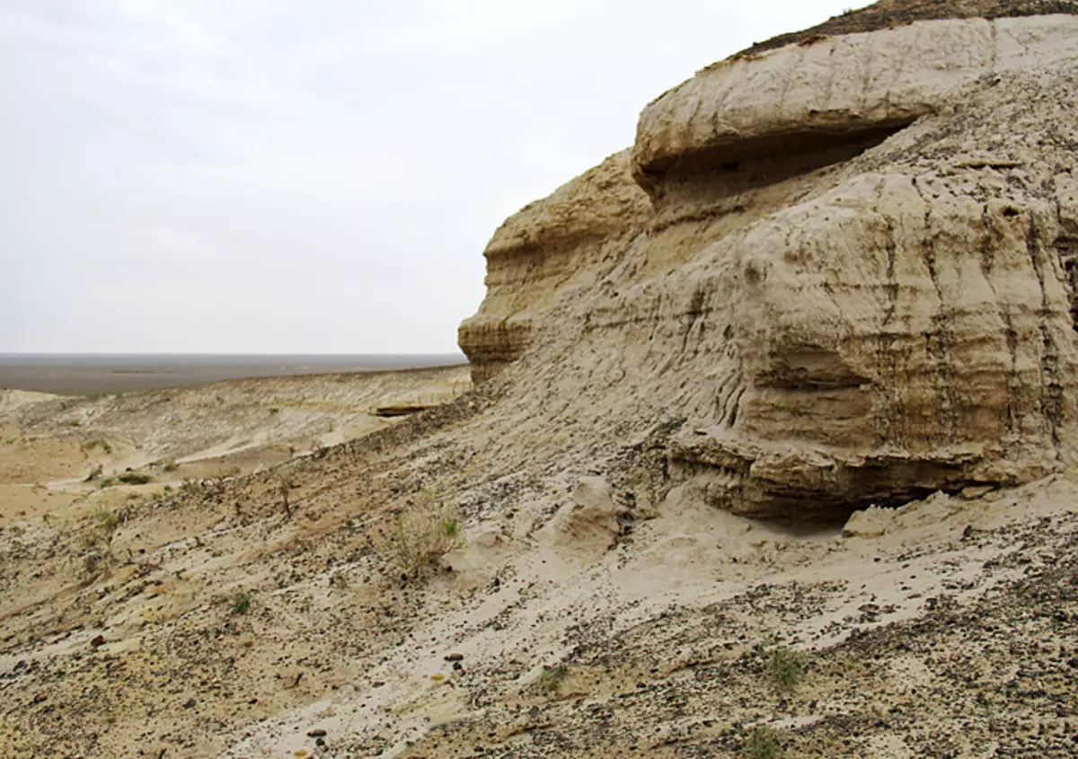 Hulagway №3 - Outlet: Sa gawas nga kalapad sa Gobi Desert