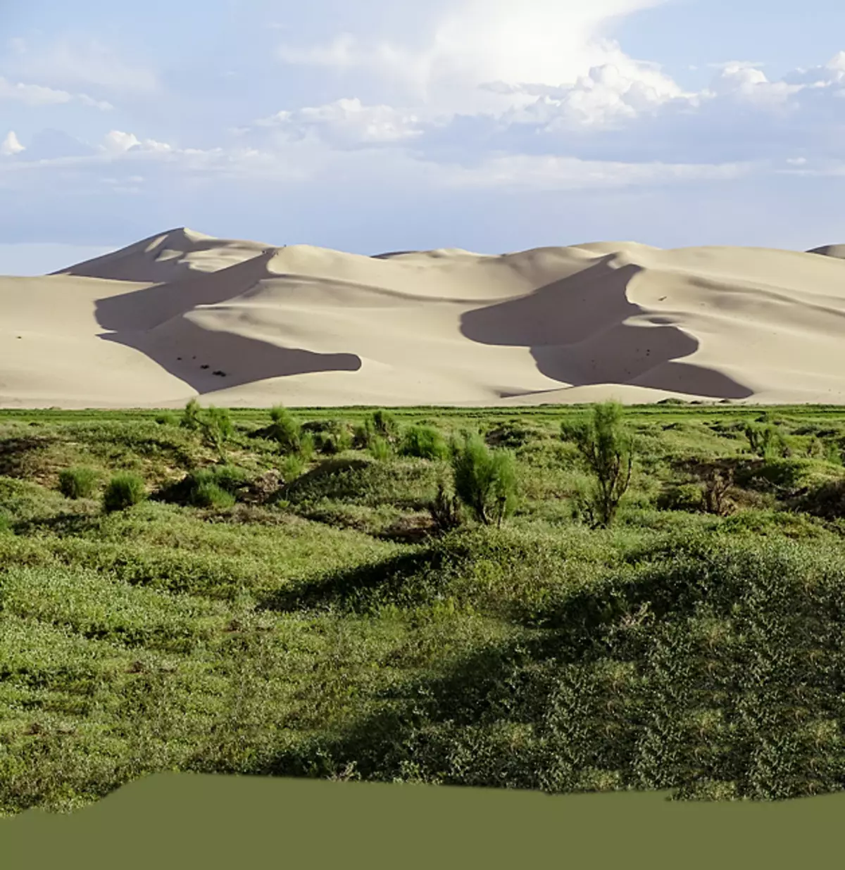 चित्र №4 - आउटलेट: आउटडोर स्पेसनेस गॉबी रेगिस्तान