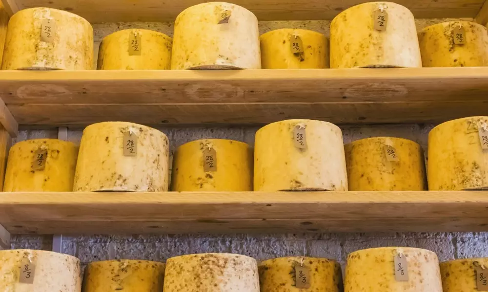 چگونه موسیقی طعم پنیر را تحت تاثیر قرار می دهد