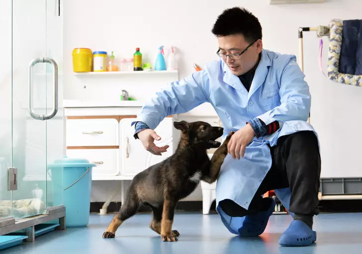 Ni Ilu China, bẹrẹ si Tlone Awọn aja Olopa