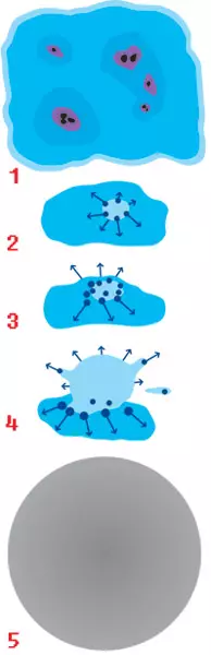 Numéro de photo 8 - Secrets d'une substance spéciale