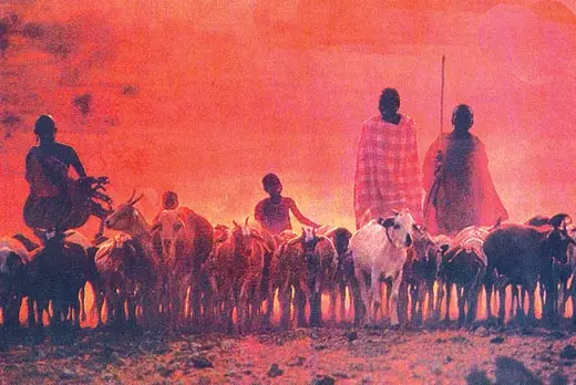 ຮູບພາບ№4 - Masai MARA, ຫຼືການຢ້ຽມຢາມຜູ້ນໍາຂອງ butterflike ຄ້າຍຄື
