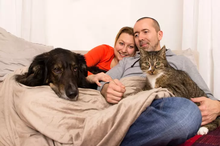 Fotoğraf Numarası 2 - Bilim adamları sahiplerini kimin daha çok sevdiğini öğrendim: Kediler veya Köpekler