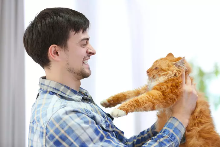 Foto №1 - Transfer ke Kucing Infeksi dikaitkan dengan serangan agresi pada manusia