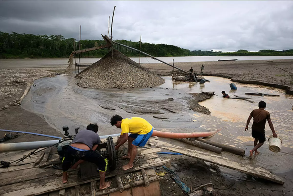 relatório de imagem - imagem №3: como obter ouro no Peru selva