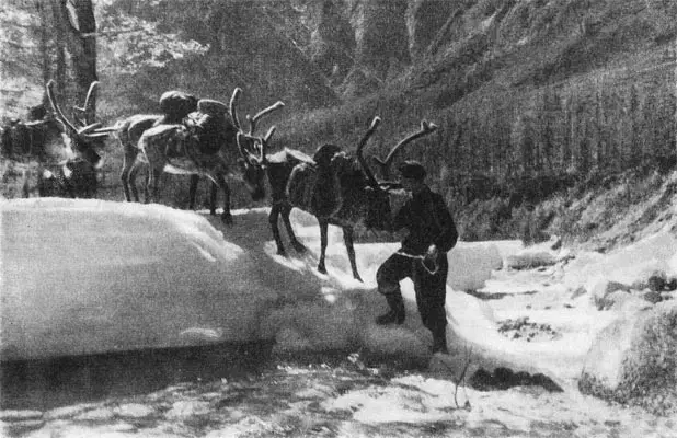 Numero ng Larawan 2 - Codara Glacier.