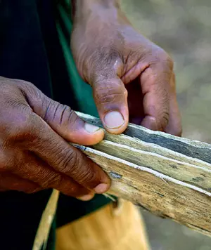 Barka baobab nga kaylap nga gigamit diha sa ekonomiya. Pisi ug mga panapton sa paghimo niini