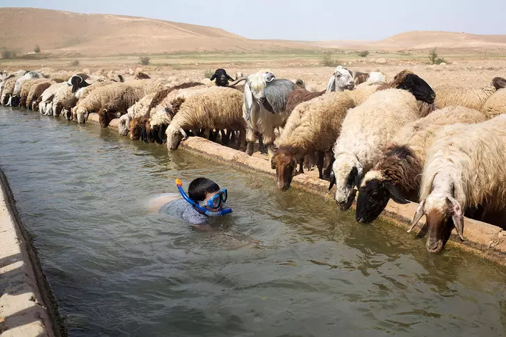 صور №1 - عيد الفصح لامب