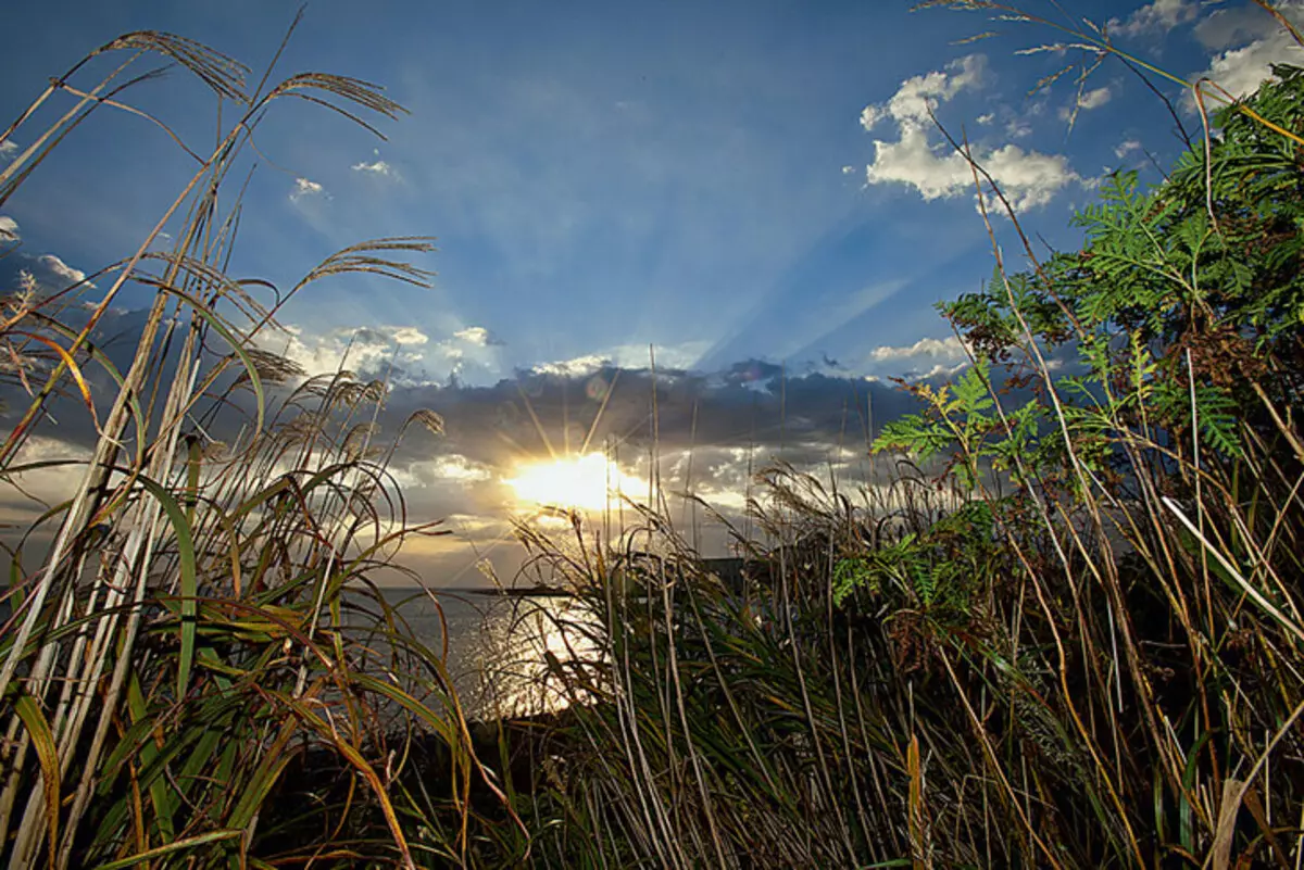 Foto Nomor 8 - ganda terbaiknya