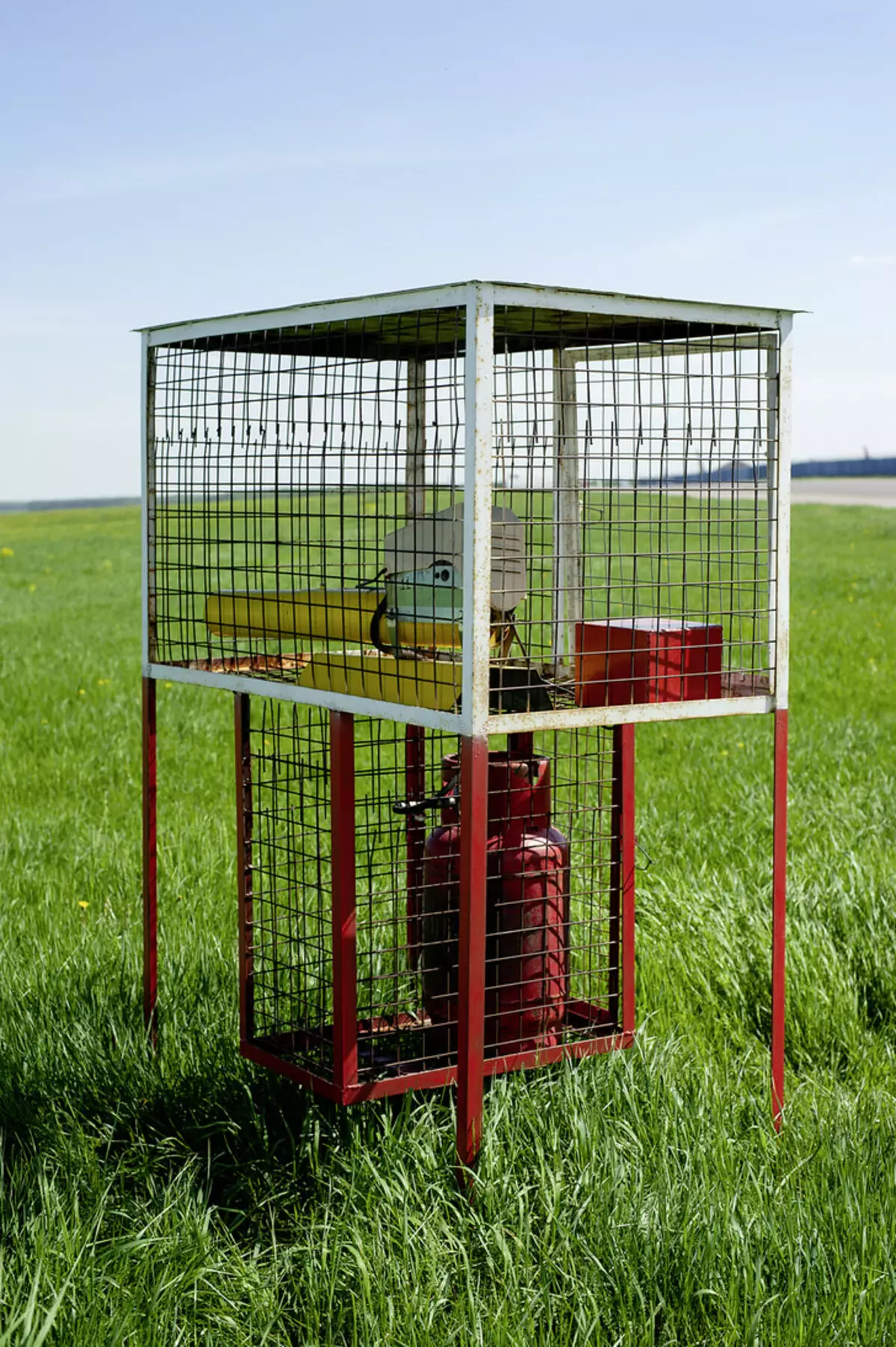 Photo number 5 - aviation ornithologists: hawk saves aircraft