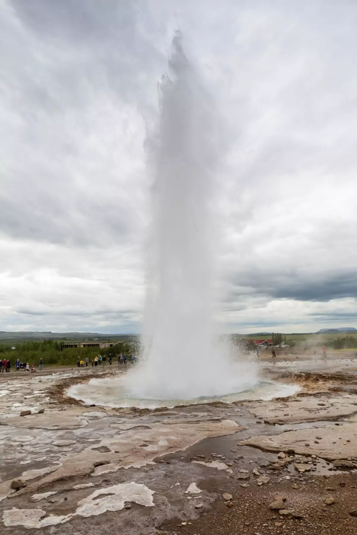 Foto №11 - tes dalan Icelandic