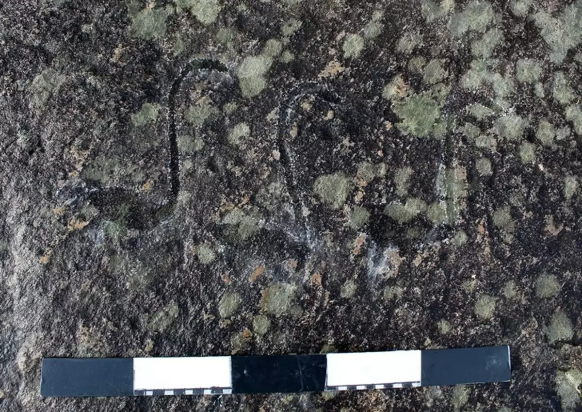 Neue Petroglyphen in Karelien gefunden