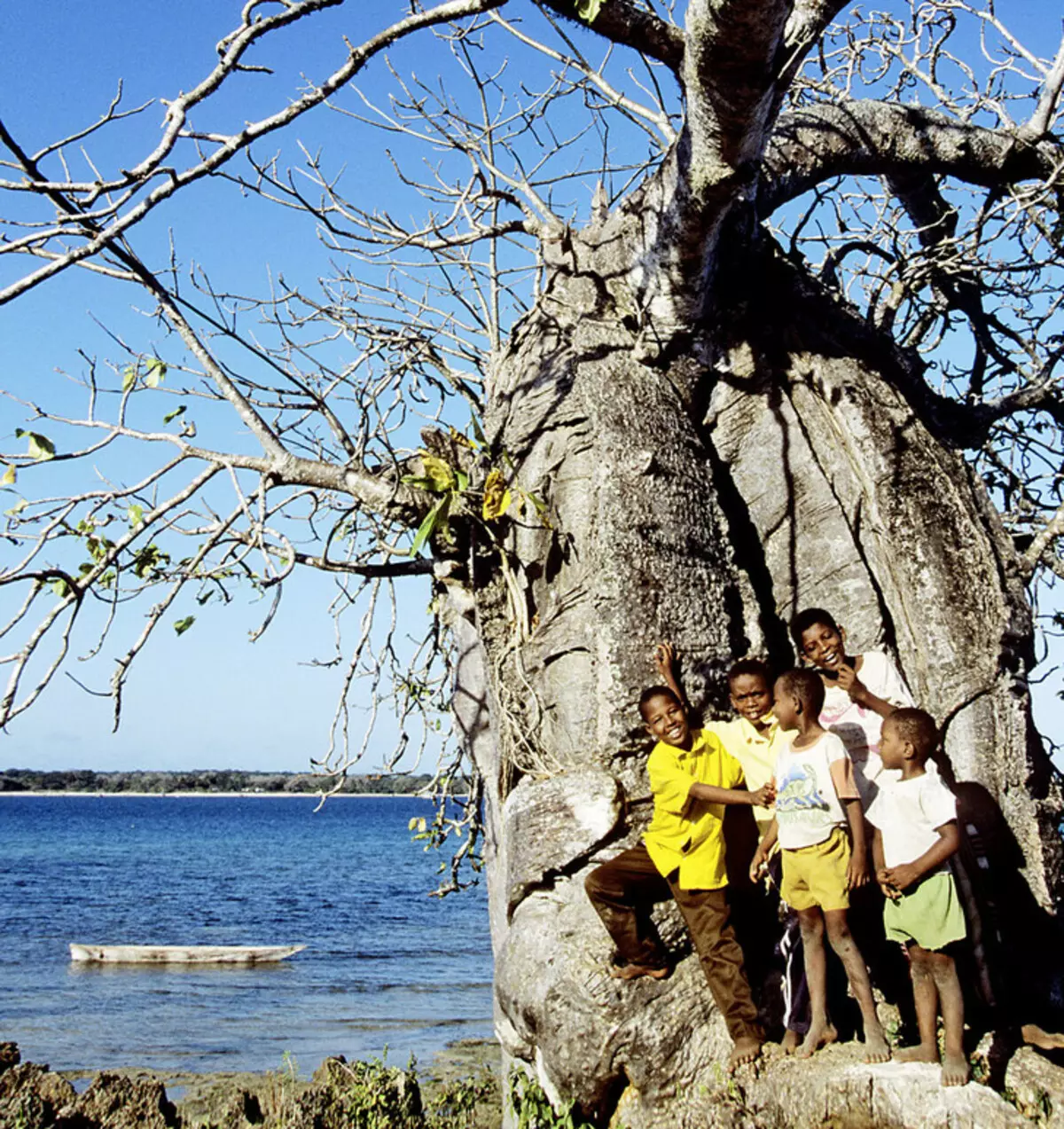 Foto nûmer 10 - Yn 'e wrâld fan minsken en bisten: Hoe yn Kenia jout de plicht oan natuer werom