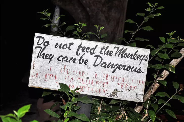 Foto Nûmer 7 - Yn 'e wrâld fan minsken en bisten: Hoe yn Kenia jout de plicht oan natuer werom