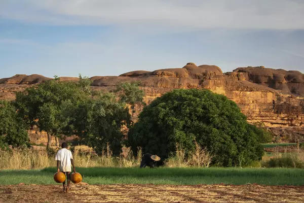 Mali: Għarfien misteru ta 'Dogon 22462_10