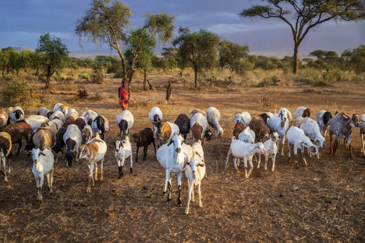 Litrato Numero 12 - Mga Leksyon sa Equator: Usa ka bulan sa baryo sa mga mata sa Kenya sa usa ka boluntaryo gikan sa Russia