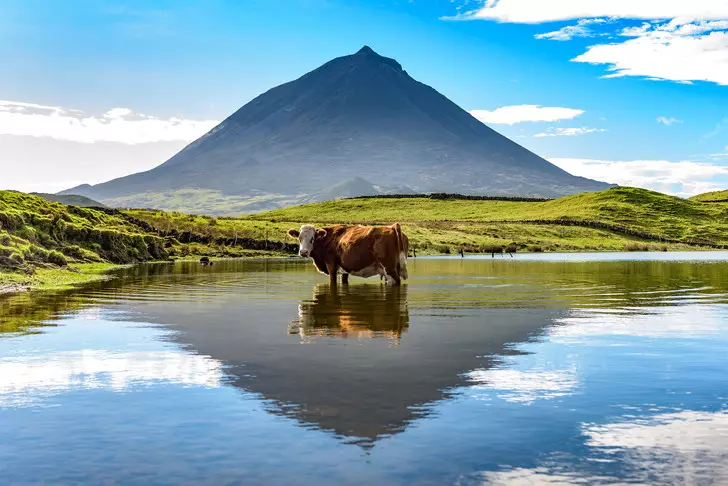 Ifoto №16 - Yatakaye mu nyanja: Ibintu 7 byerekeranye na Azores