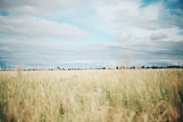 Creatieve gemeenschap van de wereld: als een team van gelijkgestemde mensen ontwikkelt mensen Suzdal en omgeving met behulp van culturele projecten 22652_14