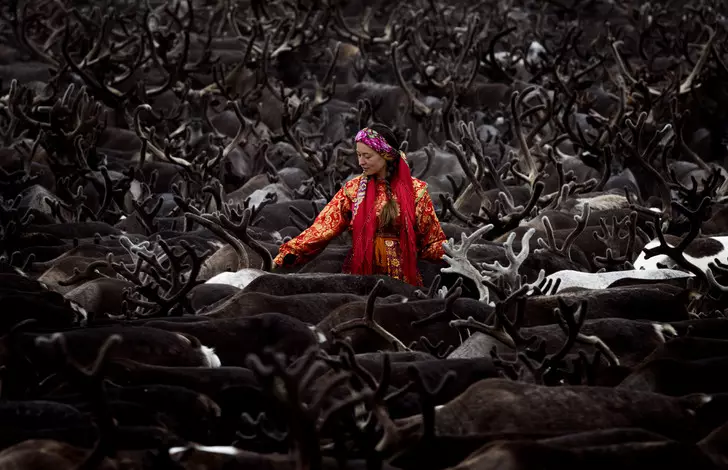 Foto №1 - Satu Bingkai: Lembah Sungai Longotoigan, Ural Kutub