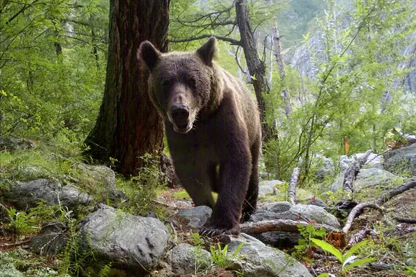 Rezervirani ljudi: Život ruskog 