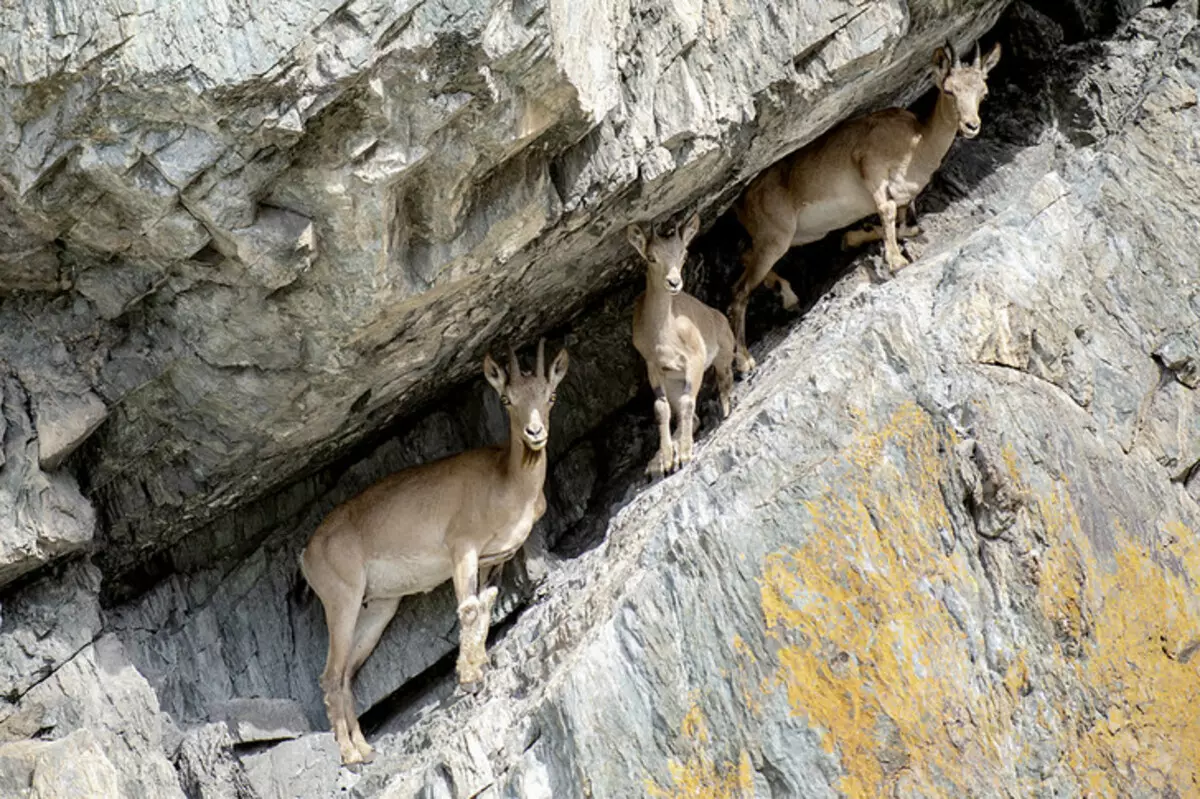 Rezervirani ljudi: Život ruskog 