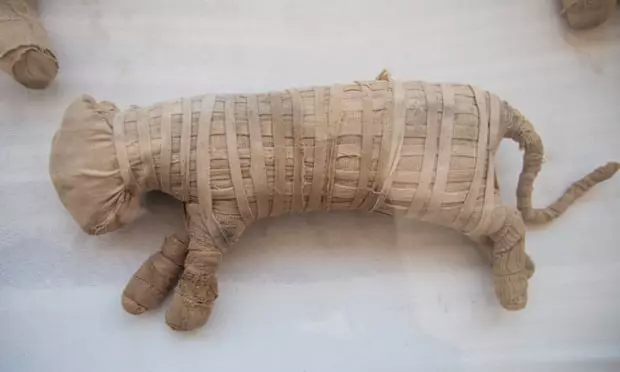 Fotoğraf Numarası 1 - Mısır'da, büyük ölçekli bir hayvan mumyası bir mezar bulundu