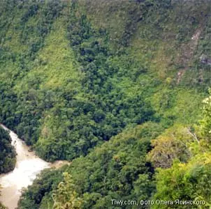 Photo №1 - Mexican forests tuag tawm nrog lub ntiaj chaw