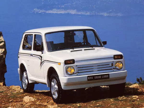 Produtos semi-acabados: como os coches da URSS foron modificados para un comprador estranxeiro 255_15