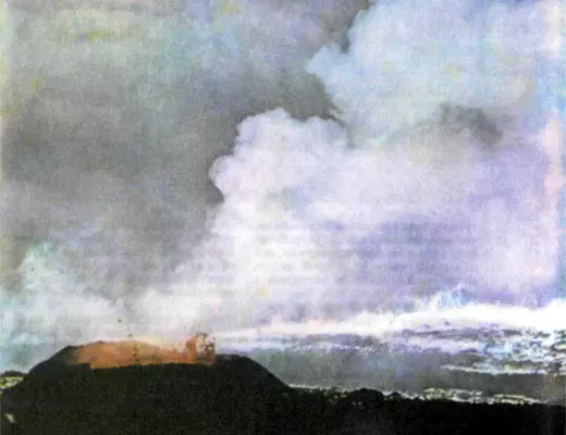 Foto №1 - vanili ing sikile gunung berapi