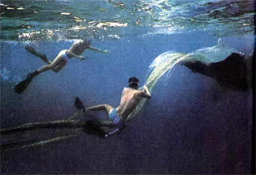 Fotografija №2 - Hosteen od zaljeva kitova