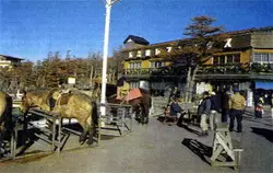 Photo number 3 - climbing Fuji