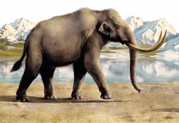 ຮູບພາບ№2 - ໃນເວລາທີ່ mammoths ບໍ່ໃຫຍ່